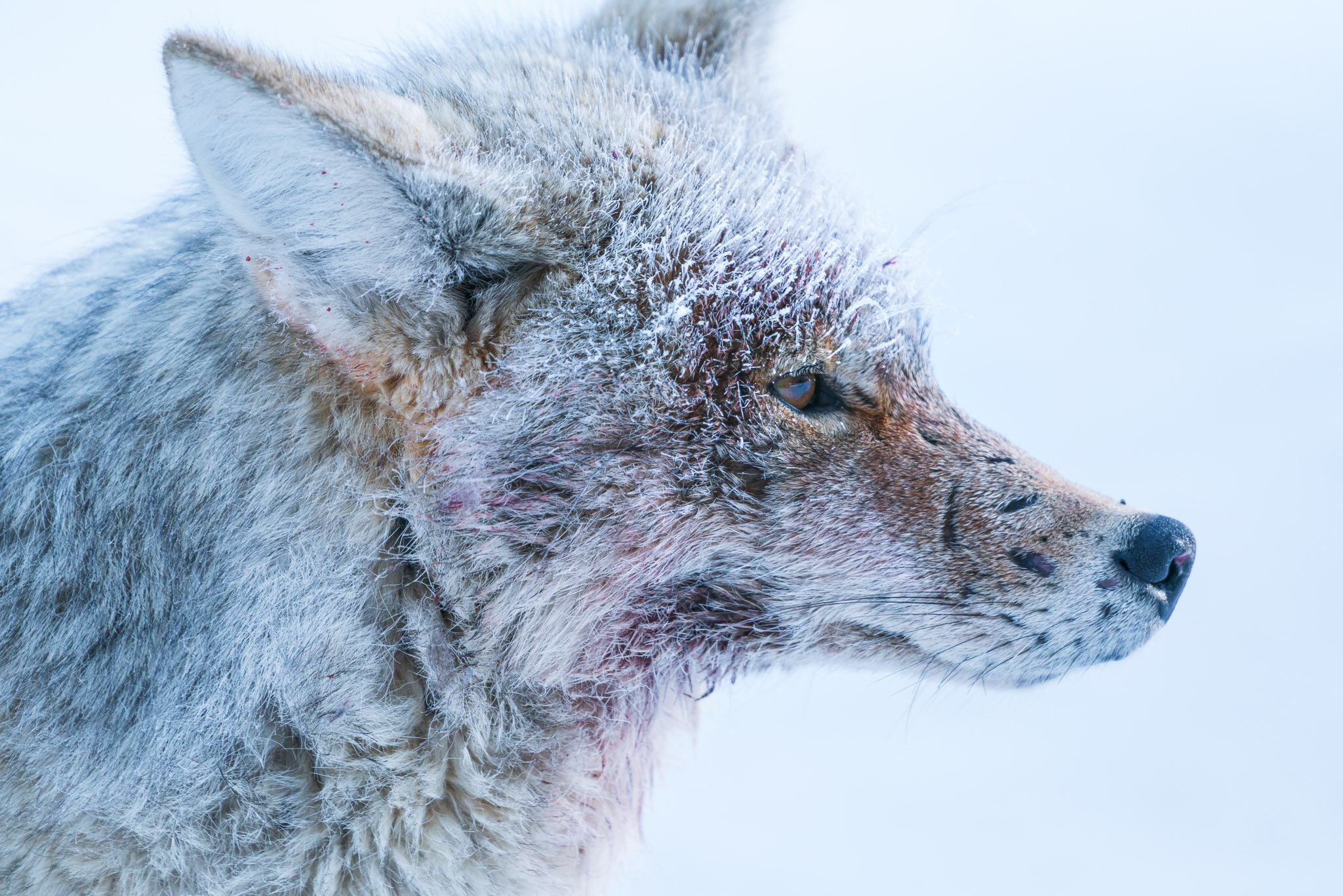 New Work — Jason Hatfield Stills & Motion