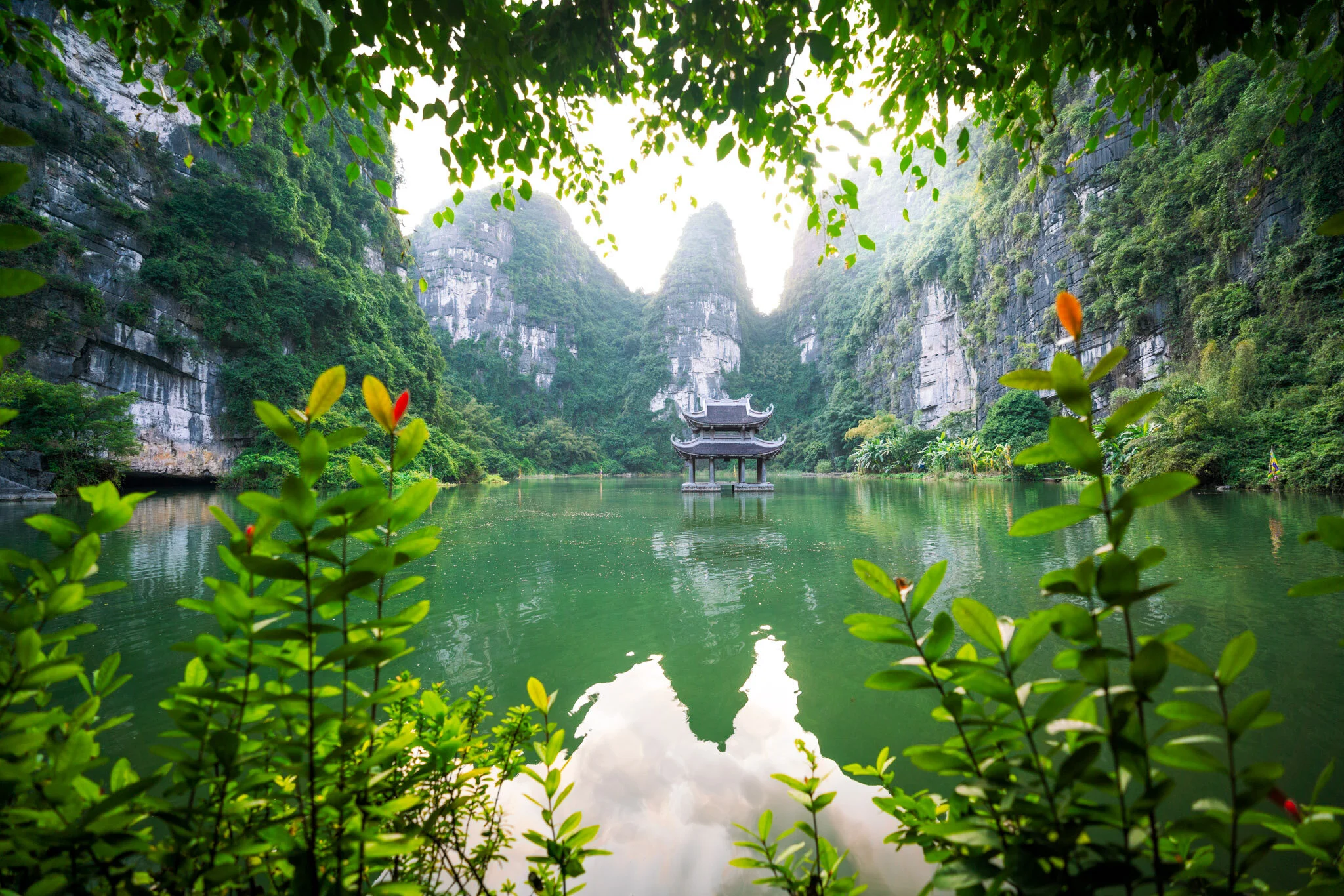 New Work — Jason Hatfield Stills & Motion