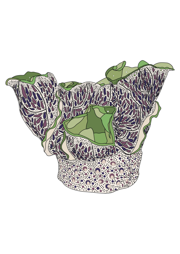 HKU University of the Arts - Utrecht 2023 — Biodesign Challenge