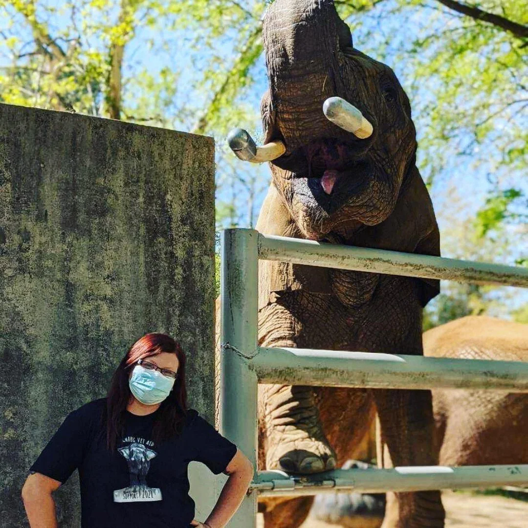 Asian Elephant Support