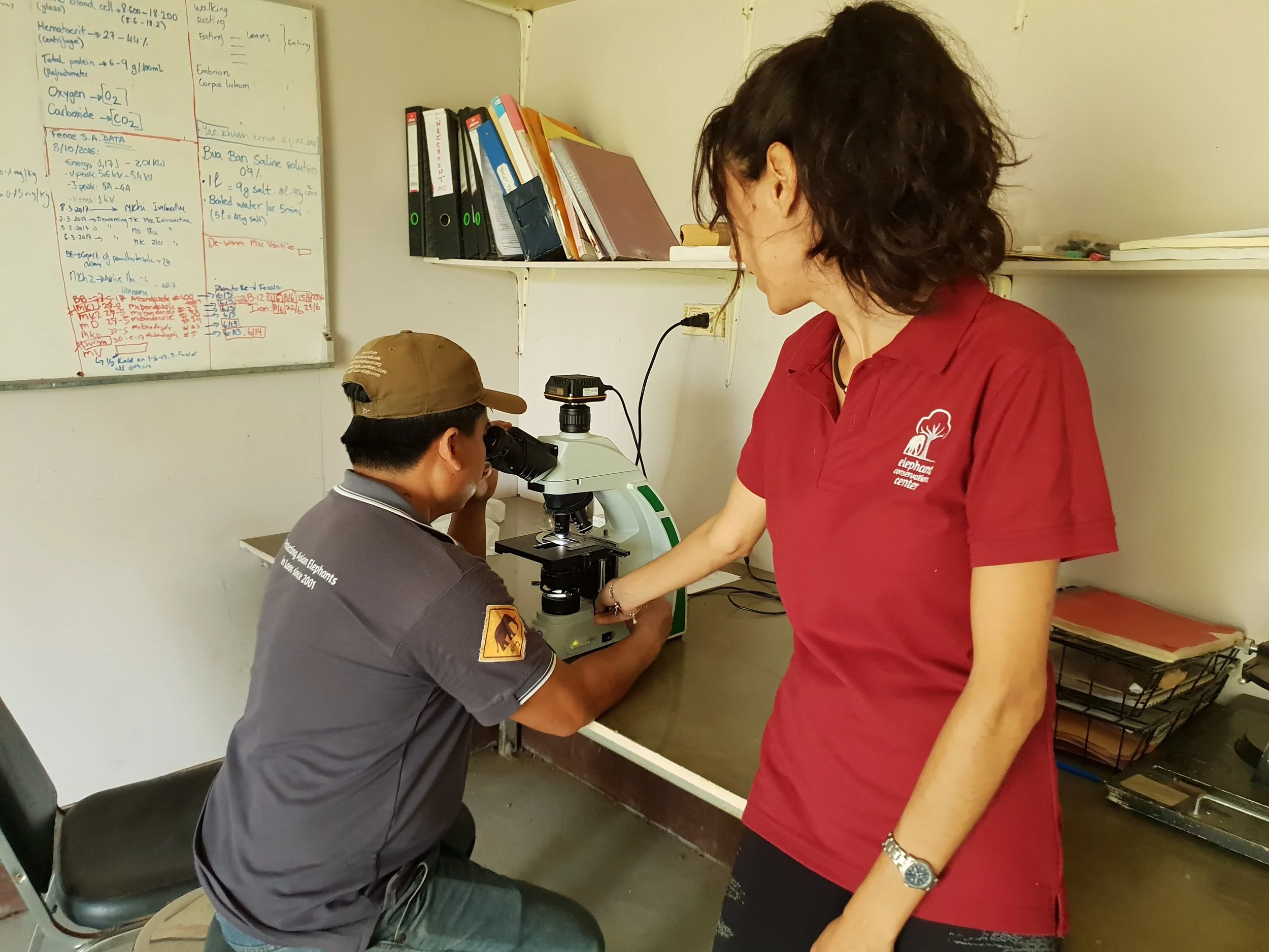 Our Mission — Asian Elephant Support