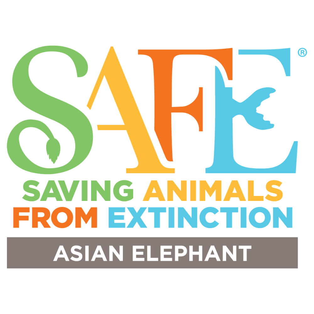 Our Team — Asian Elephant Support