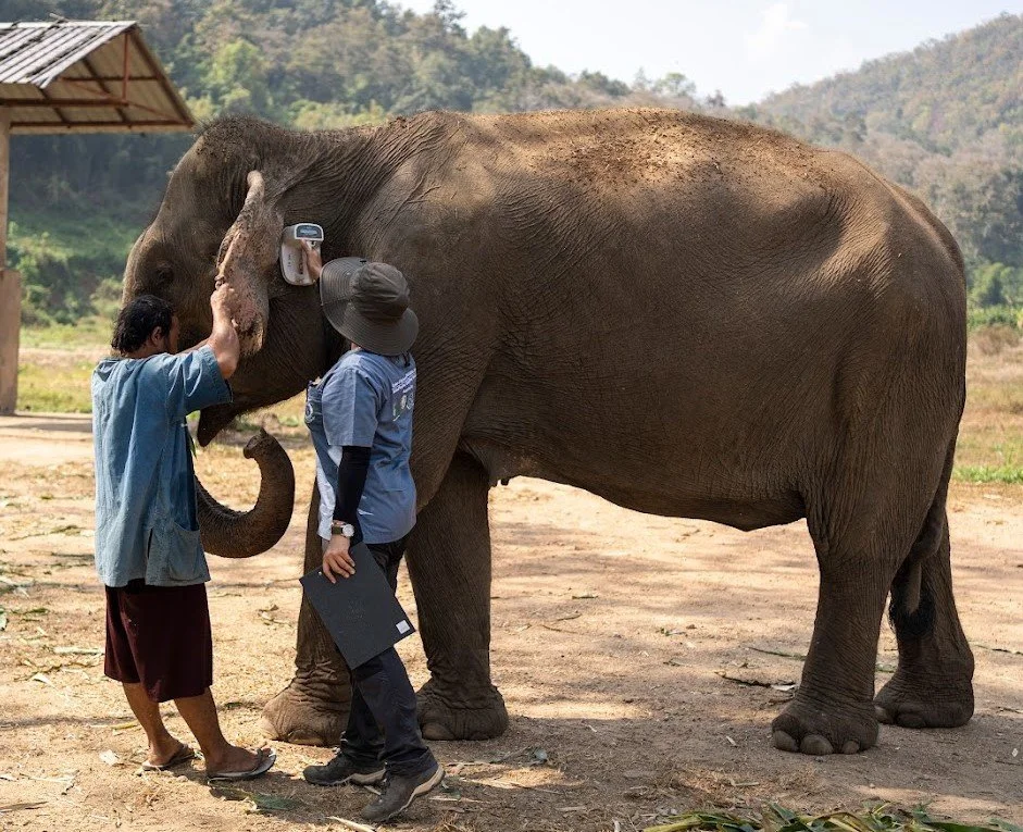 Chiang Mai University's Mobile Vet Clinic - February 2023 — Asian ...