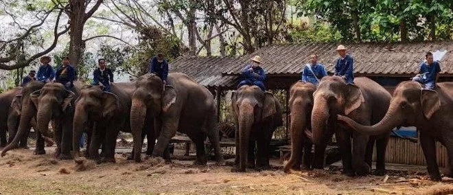 2023 Project Report — Asian Elephant Support