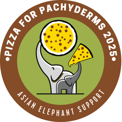 Asian Elephant Support