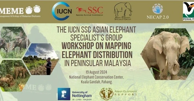 Asian Elephant Support