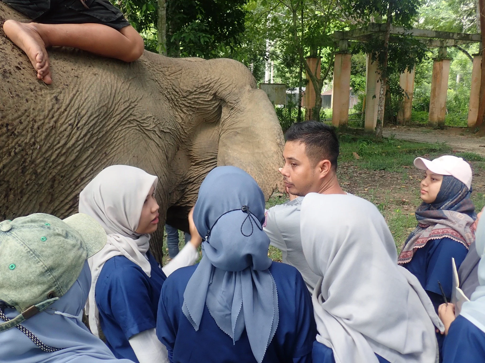 Asian Elephant Support