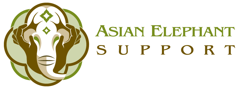 Asian Elephant Support