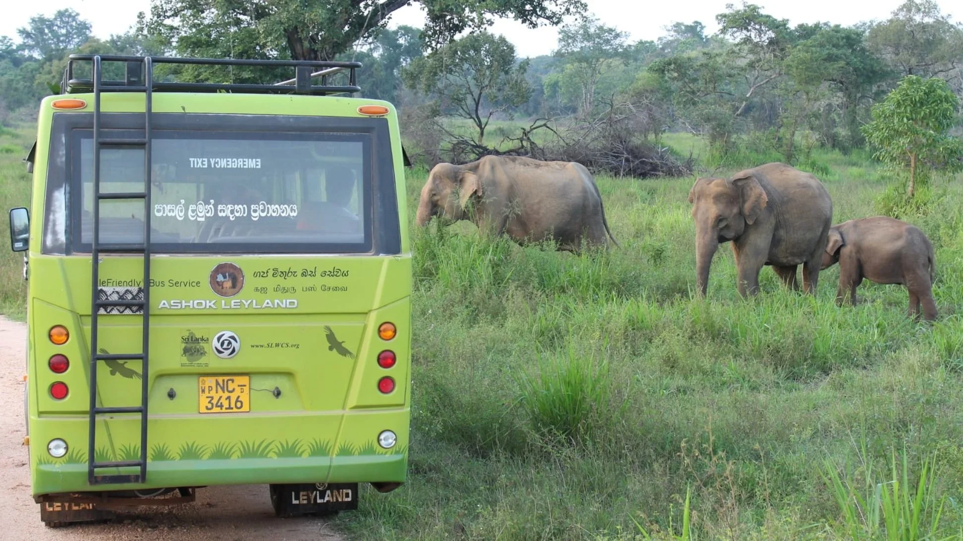 Financial Reports — Asian Elephant Support