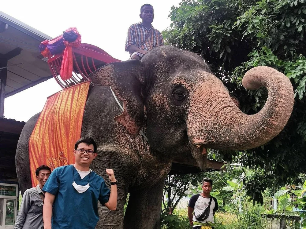 Best Practices in Elephant Care — Asian Elephant Support