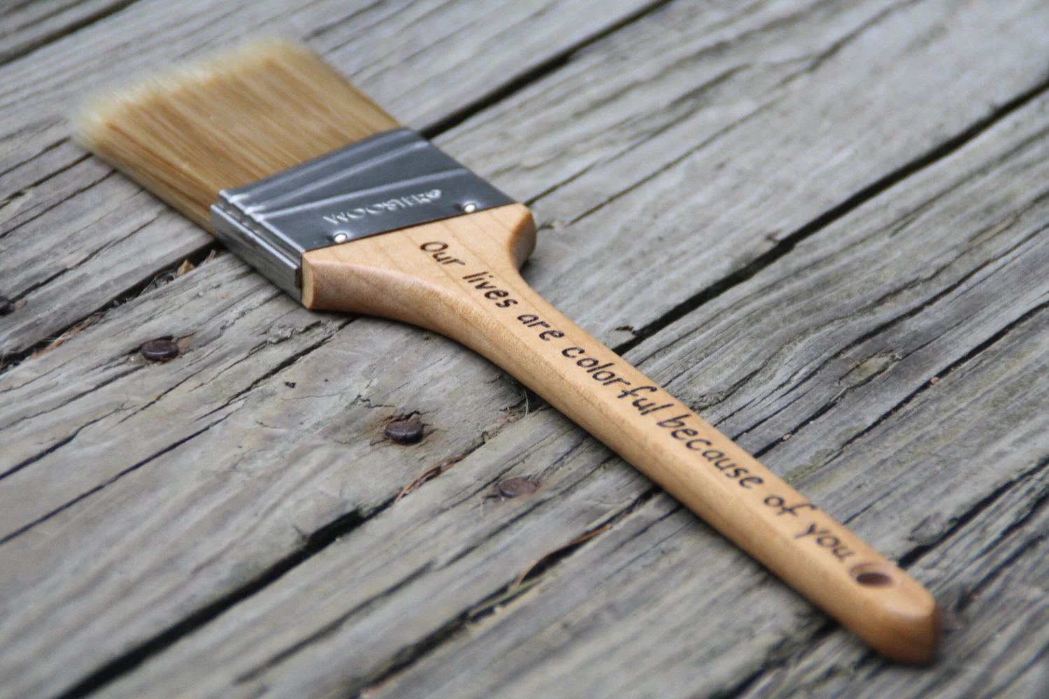 House Paint Brushes And Paint