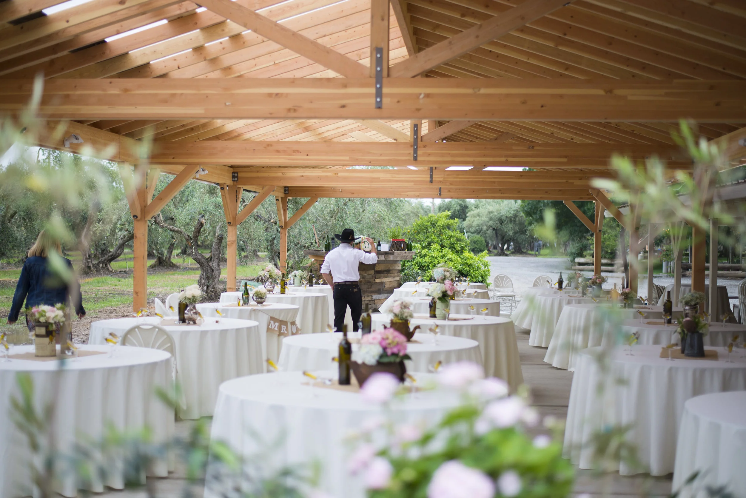 The Olive Branch Events