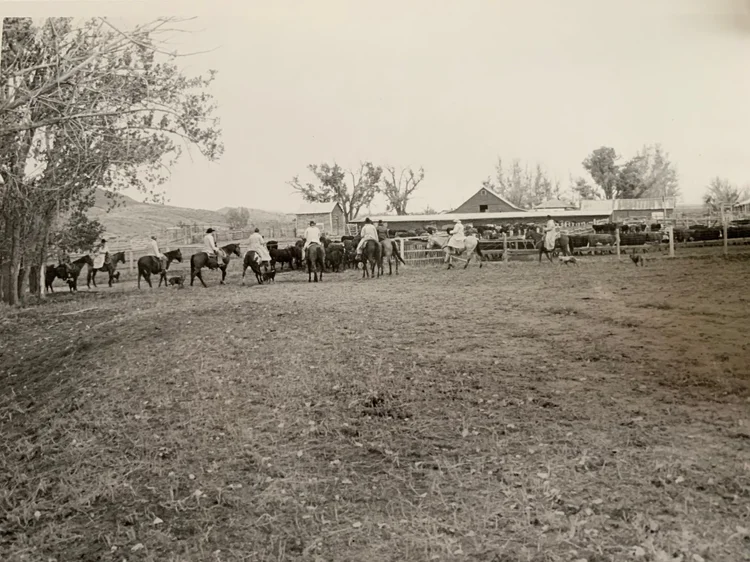 Chris Ellsworth Horsemanship