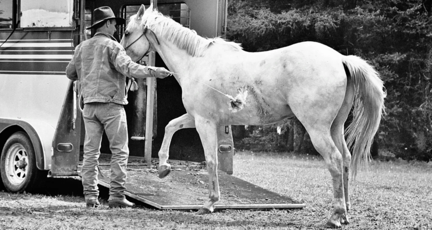 All About Clinics — Chris Ellsworth Horsemanship