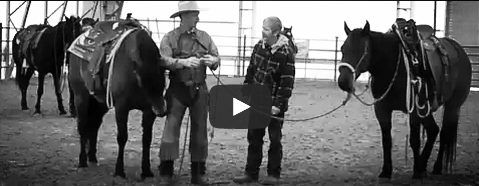 Videos — Chris Ellsworth Horsemanship