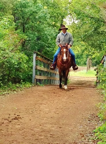 Chris Ellsworth Horsemanship