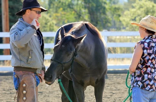 Chris Ellsworth Horsemanship