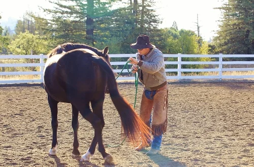 Chris Ellsworth Horsemanship