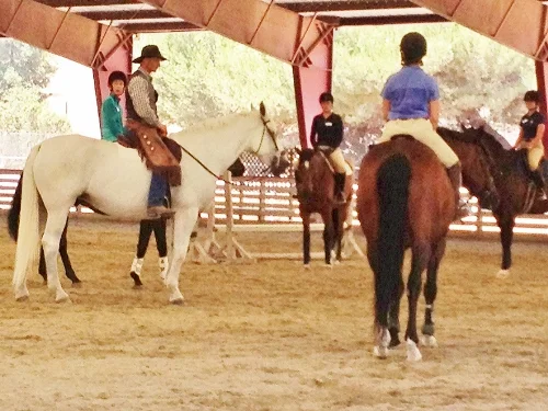 Chris Ellsworth Horsemanship