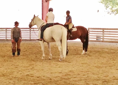 Chris Ellsworth Horsemanship