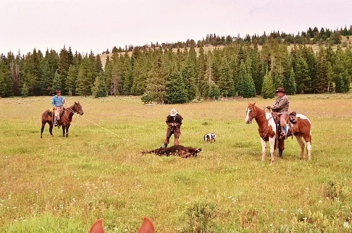 Chris Ellsworth Horsemanship