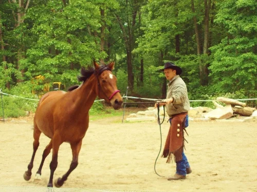 Chris Ellsworth Horsemanship