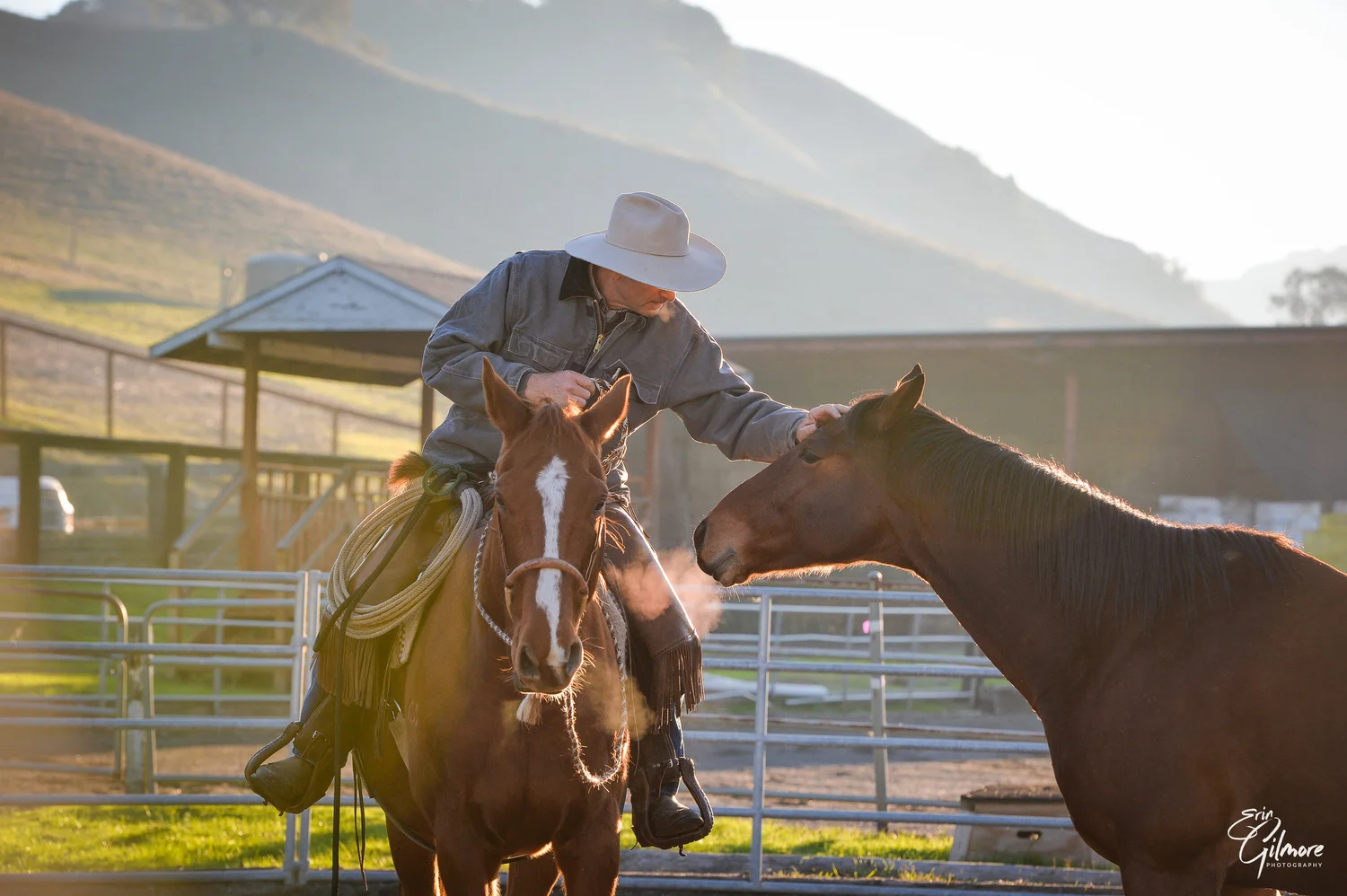 Chris Ellsworth Horsemanship