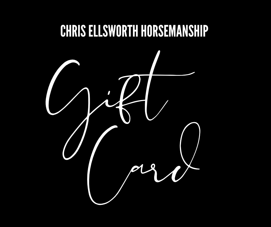 Chris Ellsworth Horsemanship