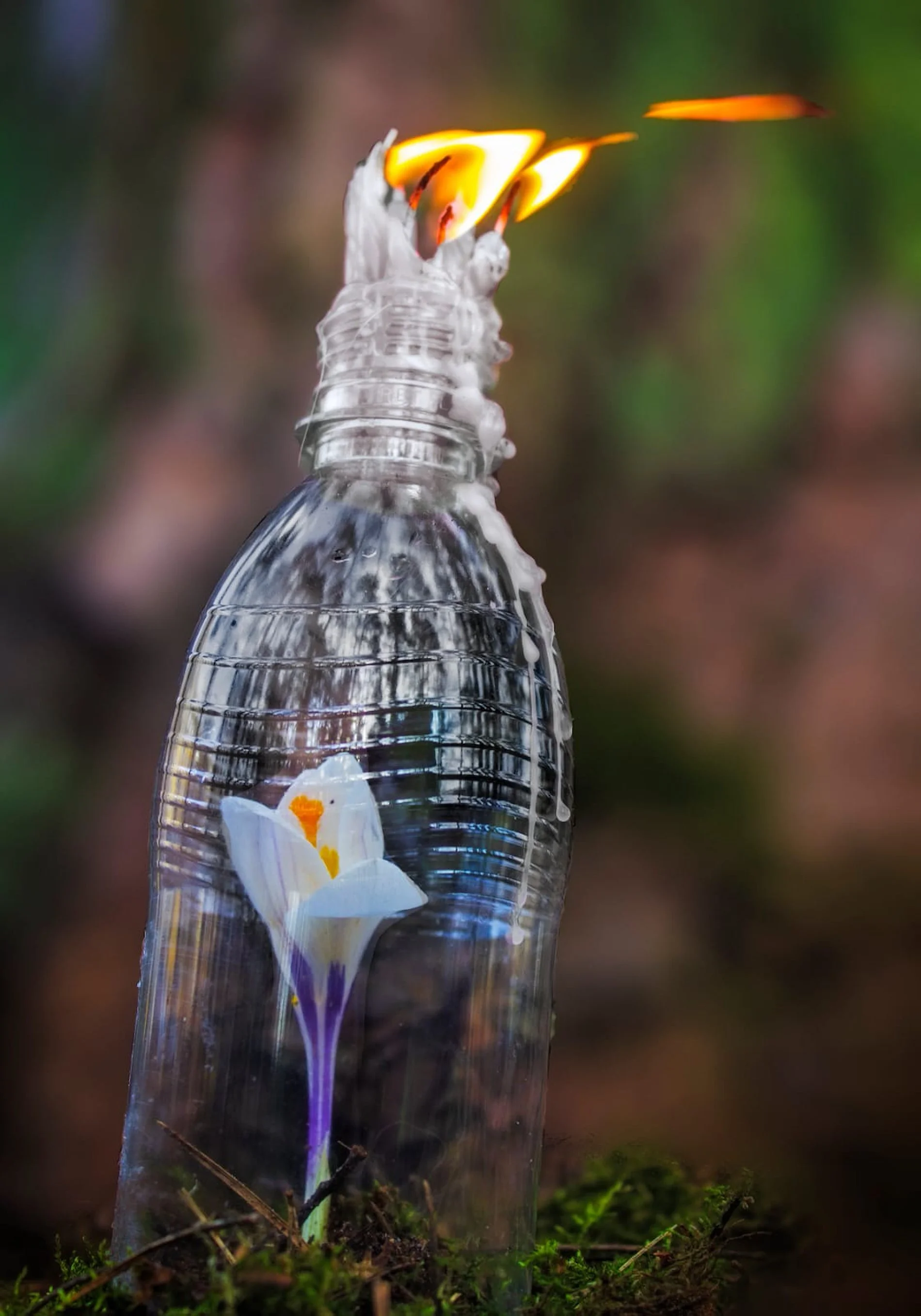 YRE Competition — Young Reporters for the Environment