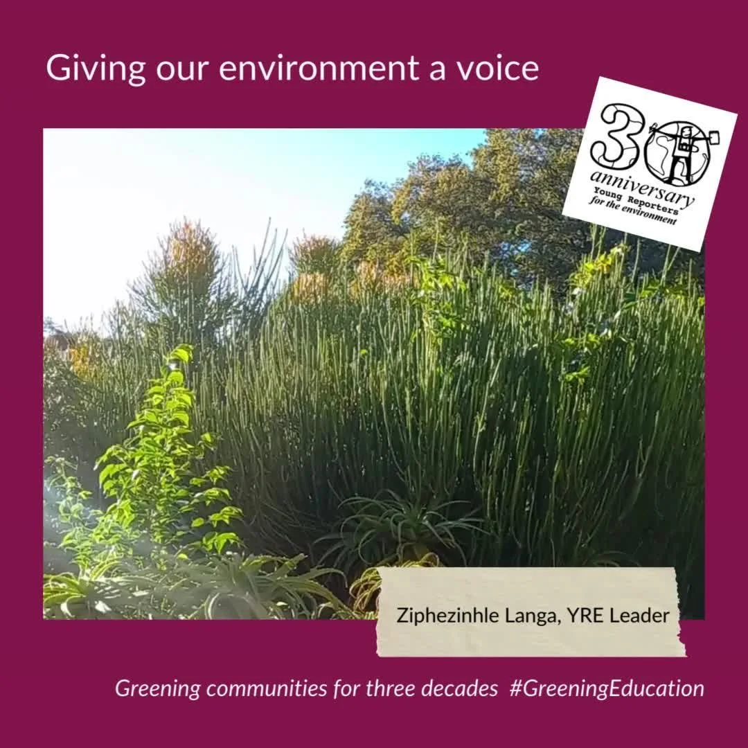 Young Reporters for the Environment