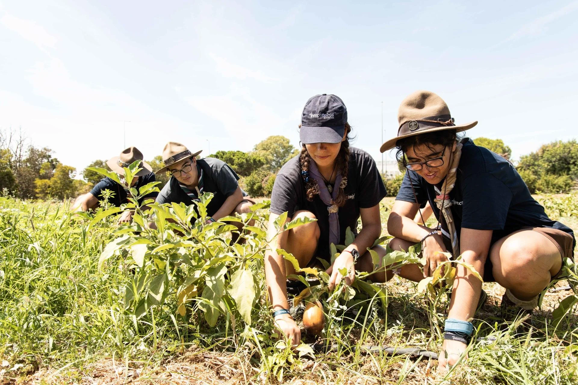 Age 11-14 — Young Reporters for the Environment