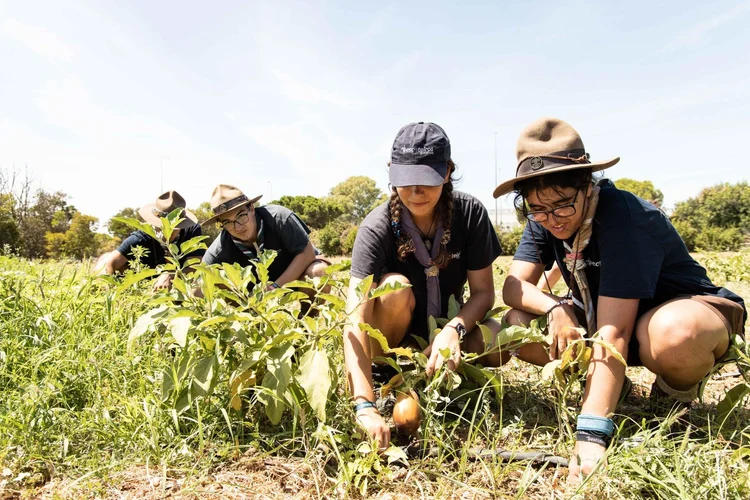 Age 11-14 — Young Reporters for the Environment