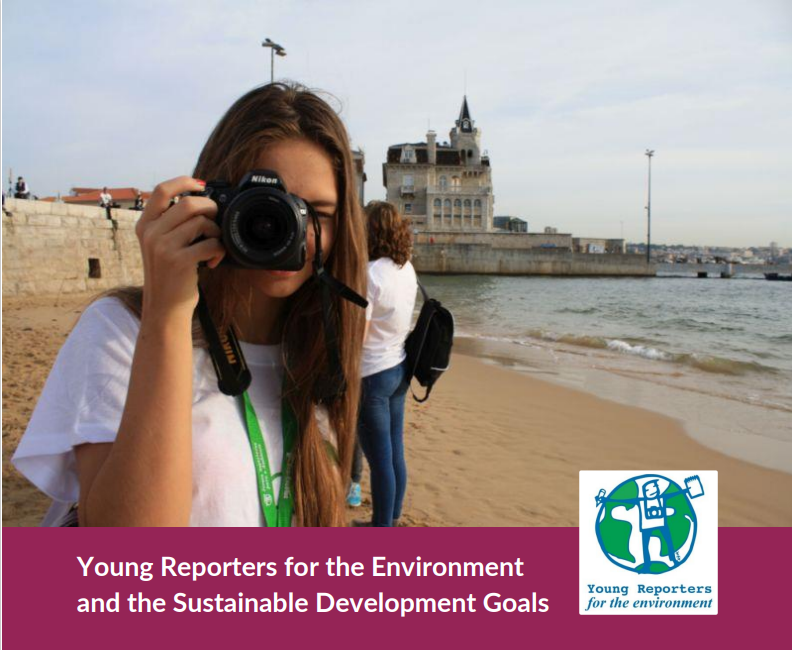 YRE's 4 Steps Methodology — Young Reporters for the Environment