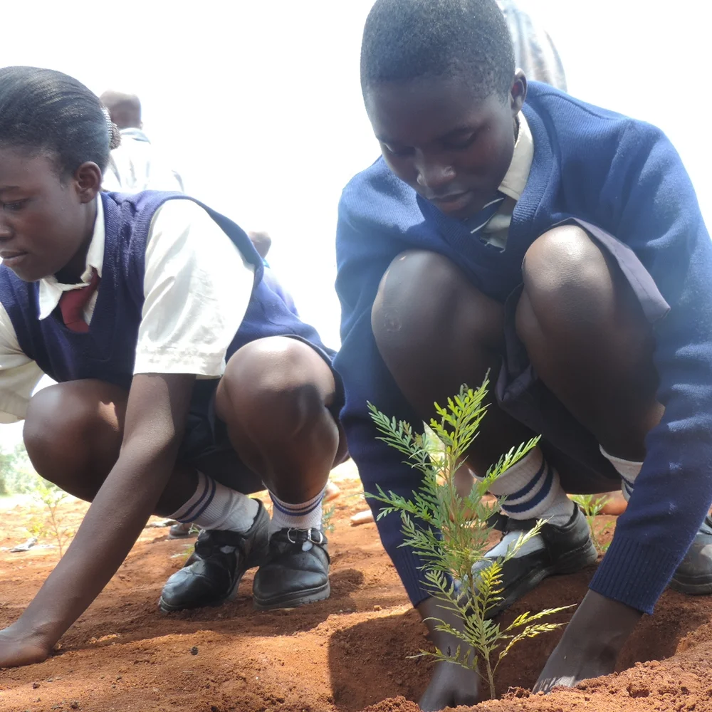 Our Methodology — LEAF - Learning about Ecosystems and Forests