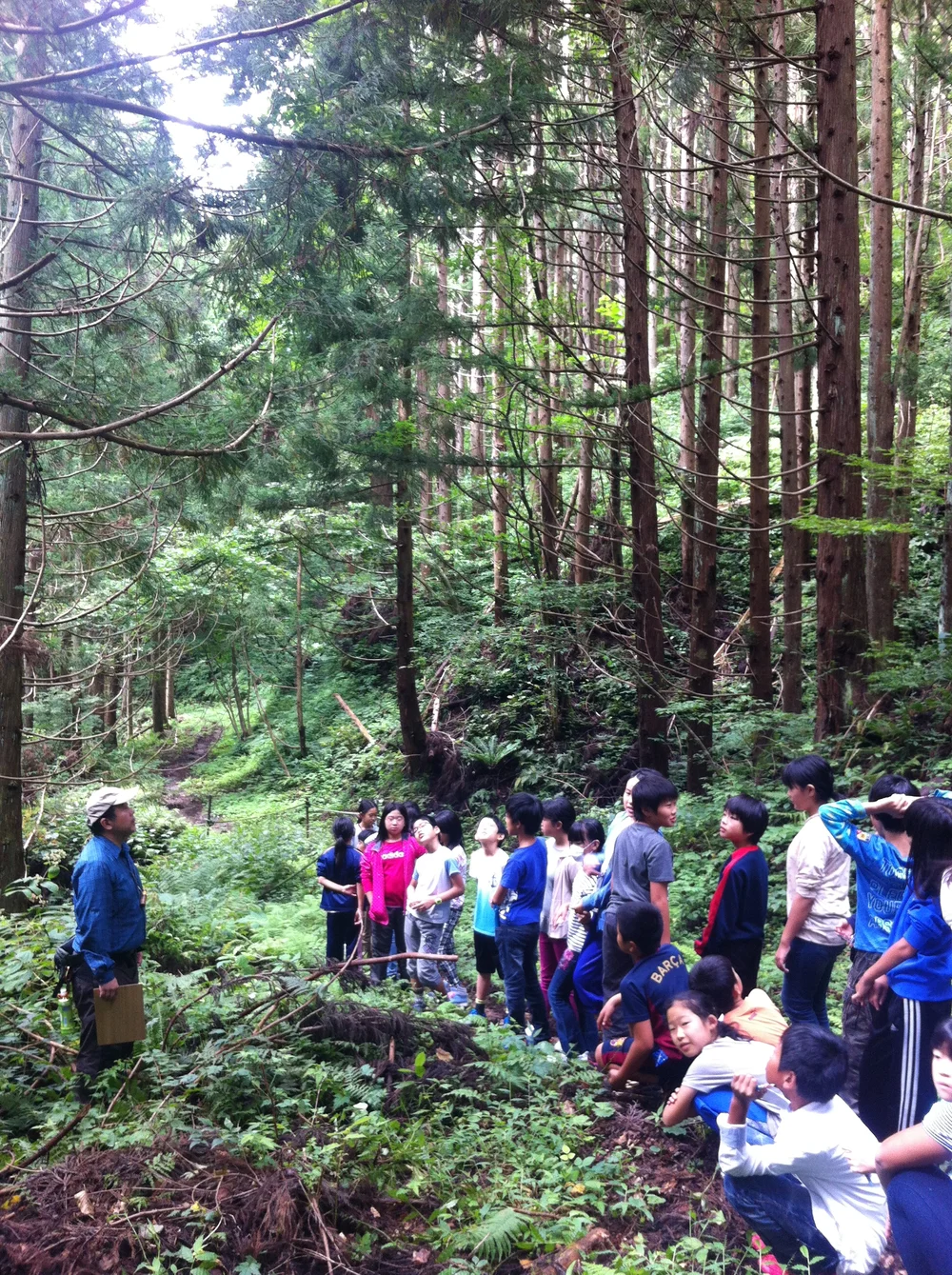 Our Programme — LEAF - Learning about Ecosystems and Forests