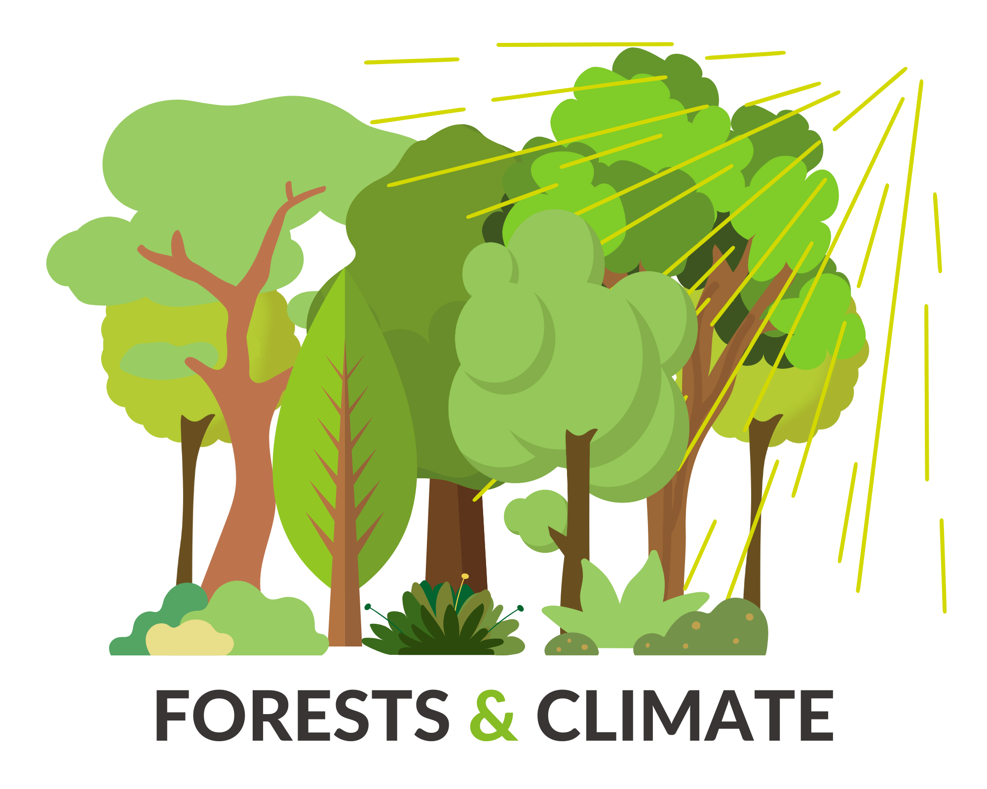 Our Themes — LEAF - Learning about Forests
