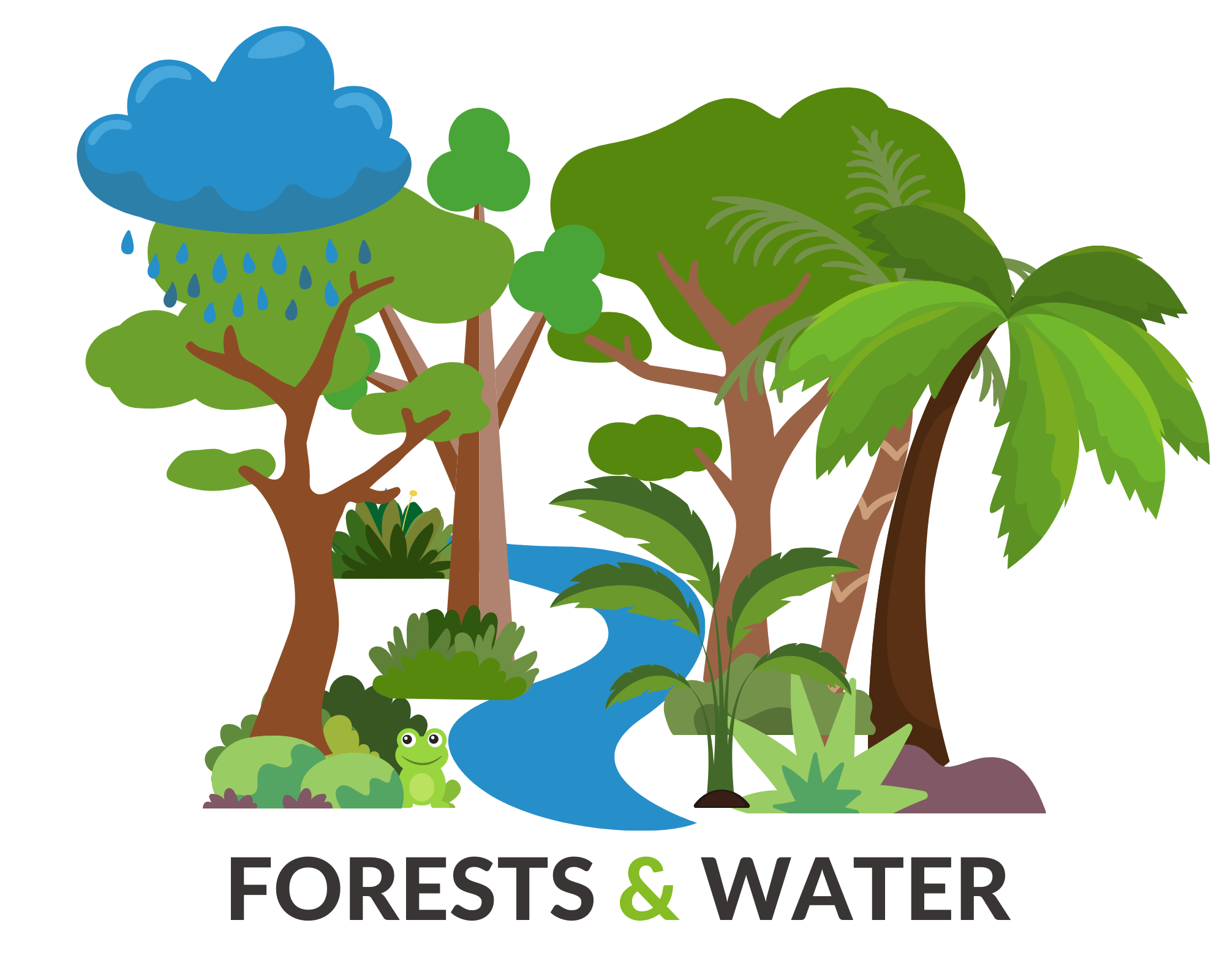 Our Themes — LEAF - Learning about Forests