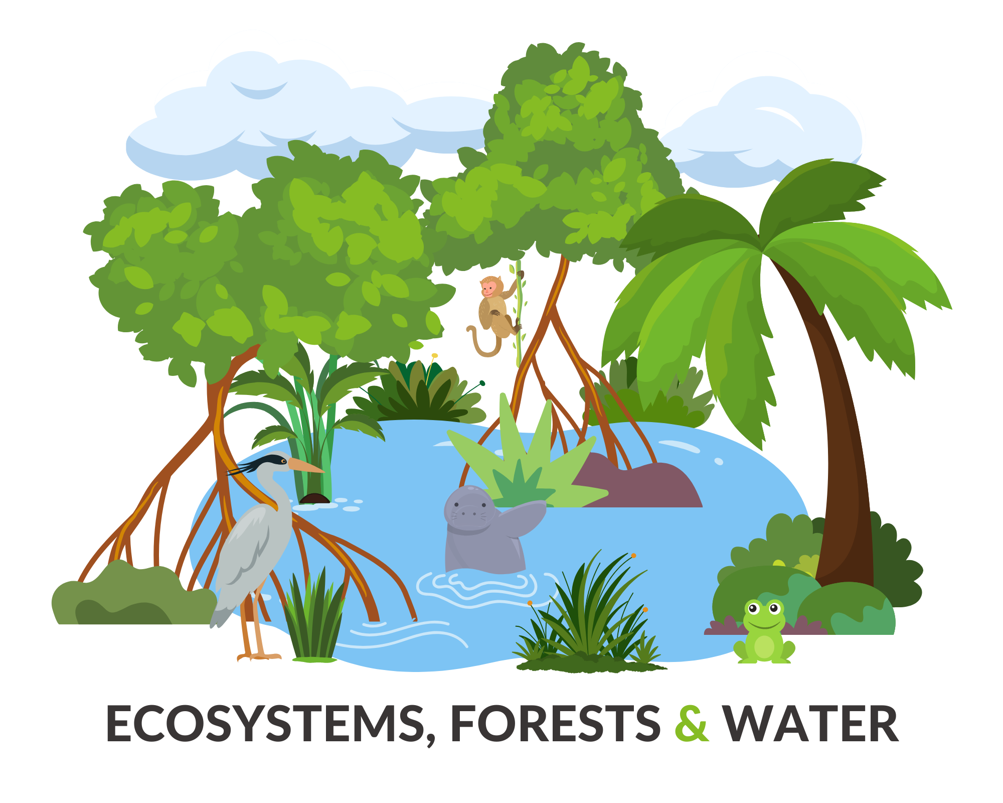 Teaching Materials — LEAF - Learning about Ecosystems and Forests
