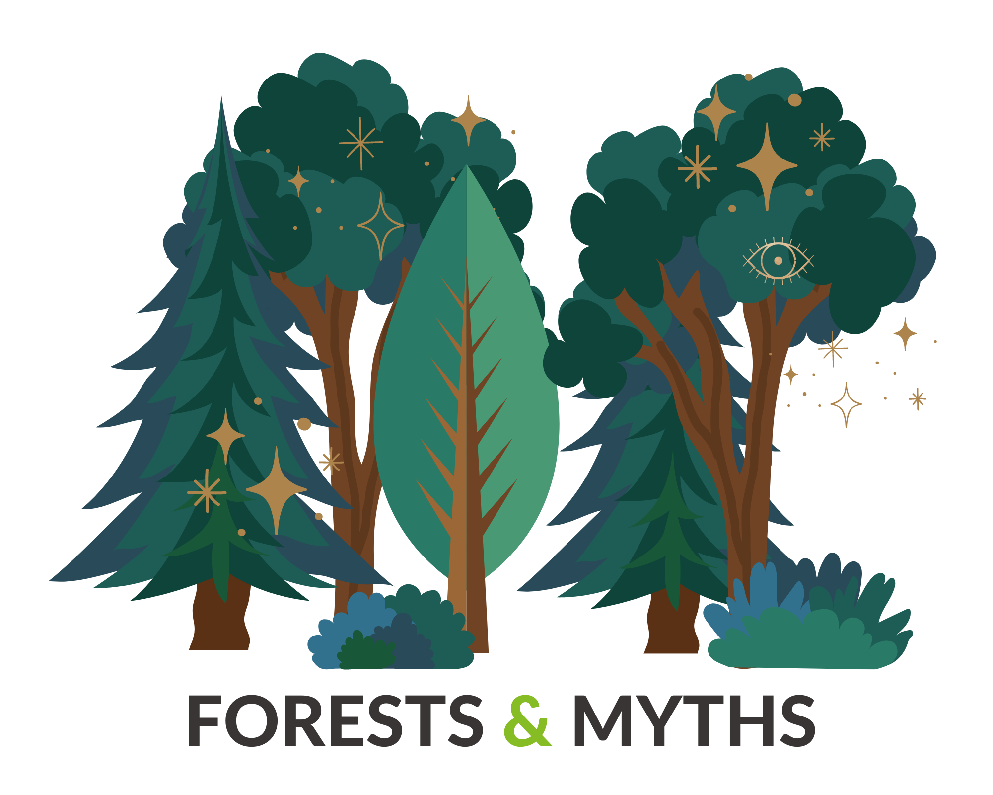 Teaching Materials — LEAF - Learning about Forests