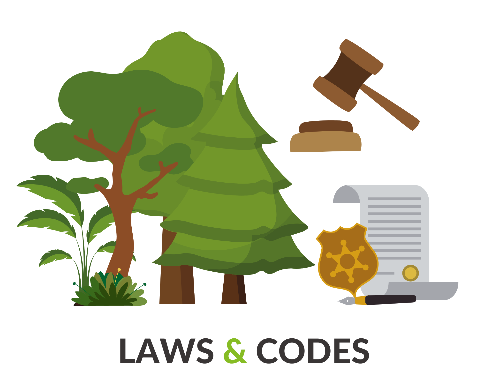 Teaching Materials — LEAF - Learning about Forests