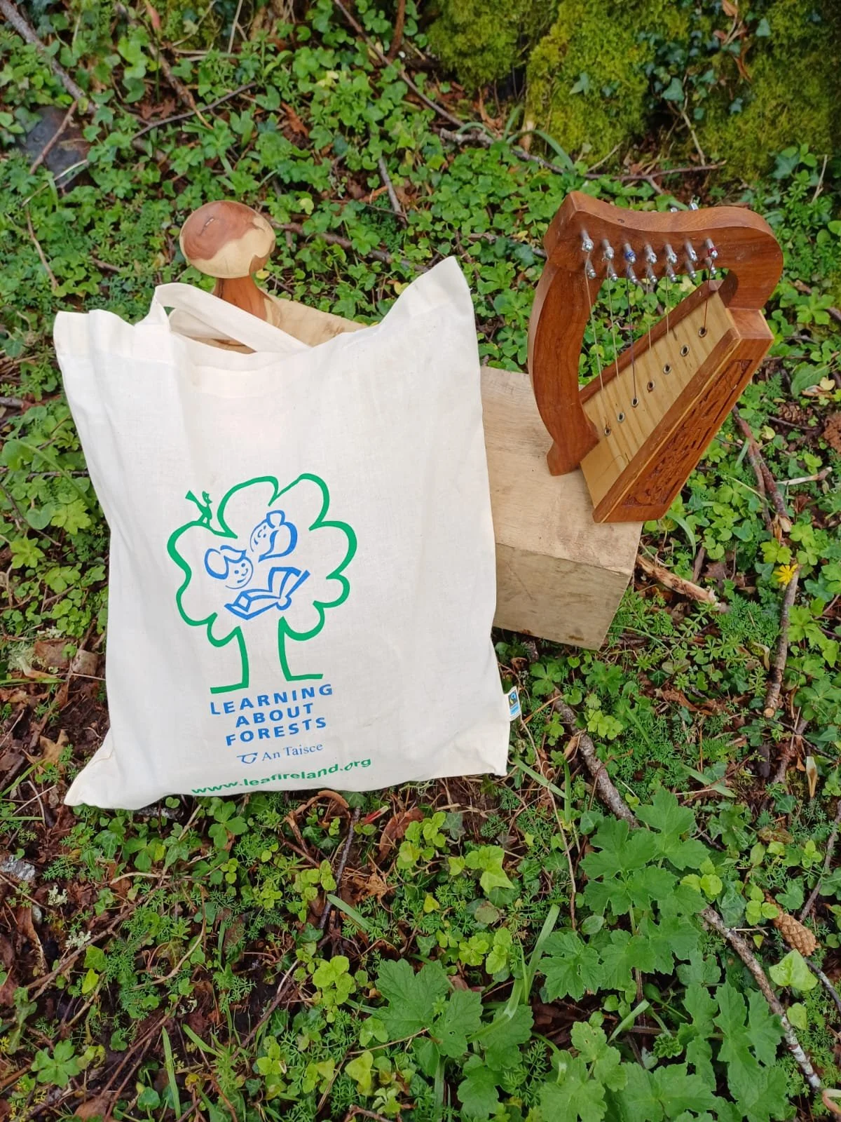 News and Stories — LEAF - Learning about Ecosystems and Forests