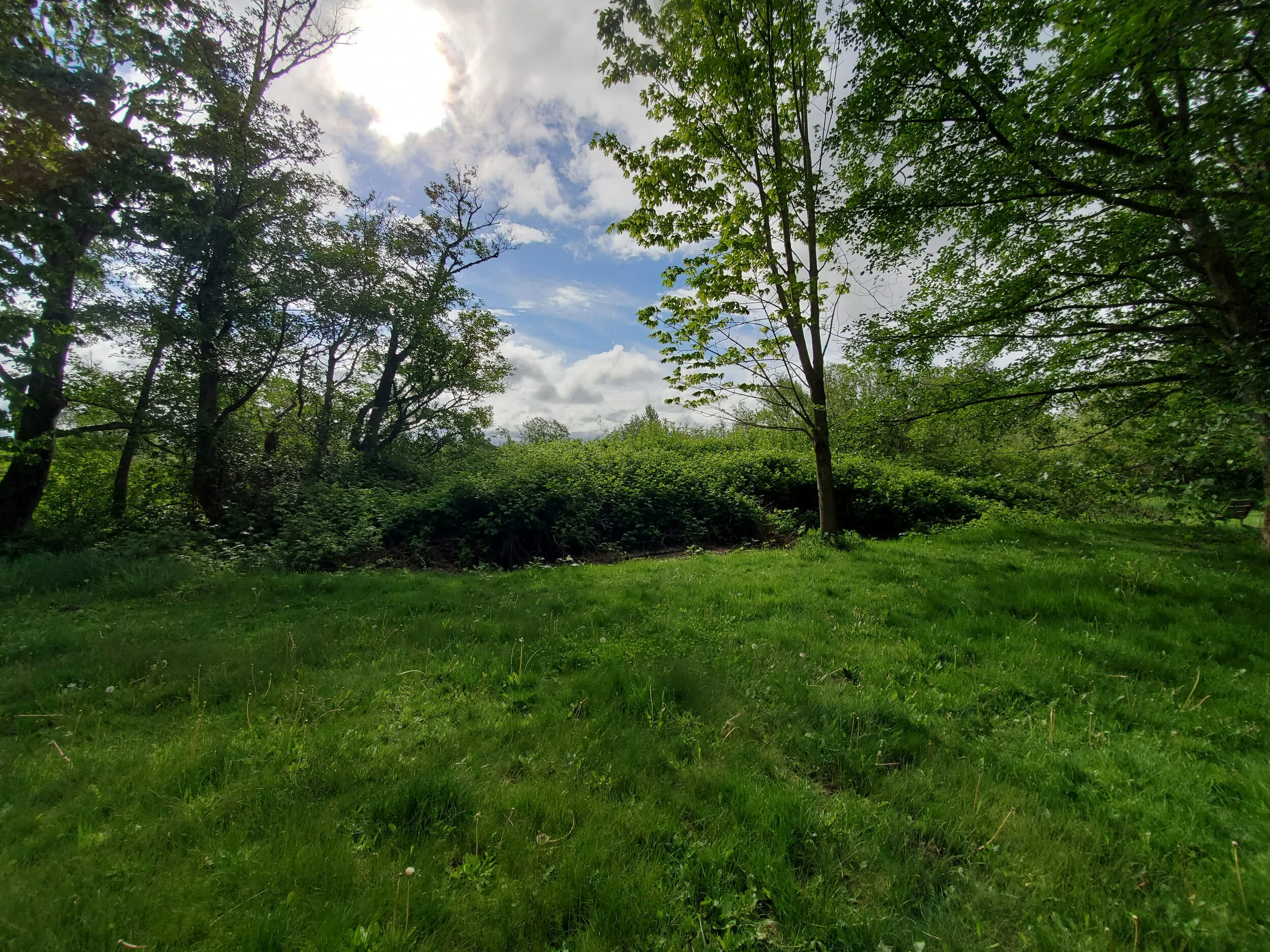 Together, We Can Do It, One Little Piece at a Time — Nooksack Salmon ...