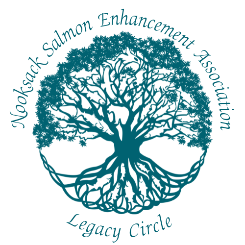 Everlasting Gifts — Nooksack Salmon Enhancement Association