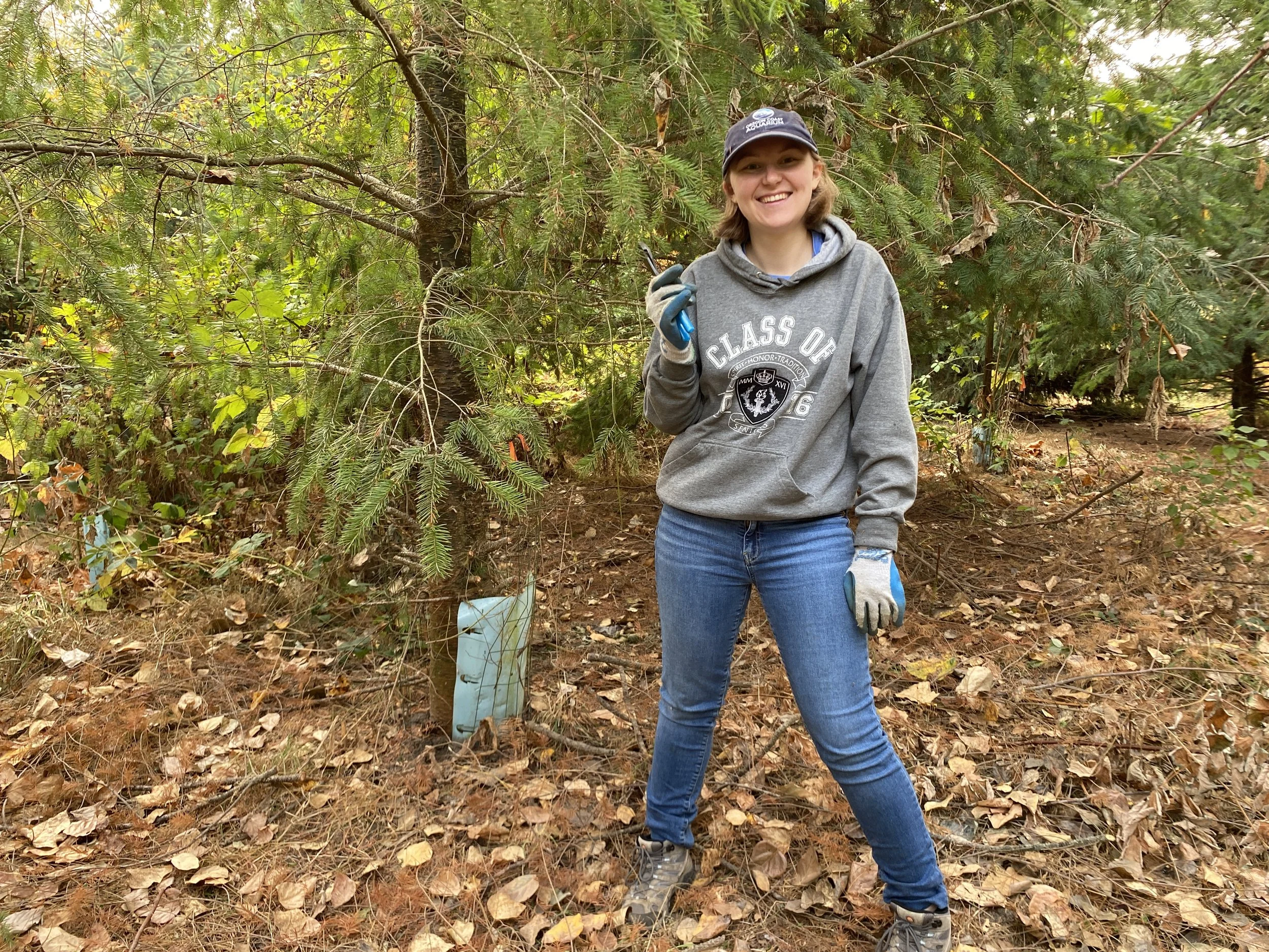 Stream Team: The Next Step in Restoration — Nooksack Salmon Enhancement ...