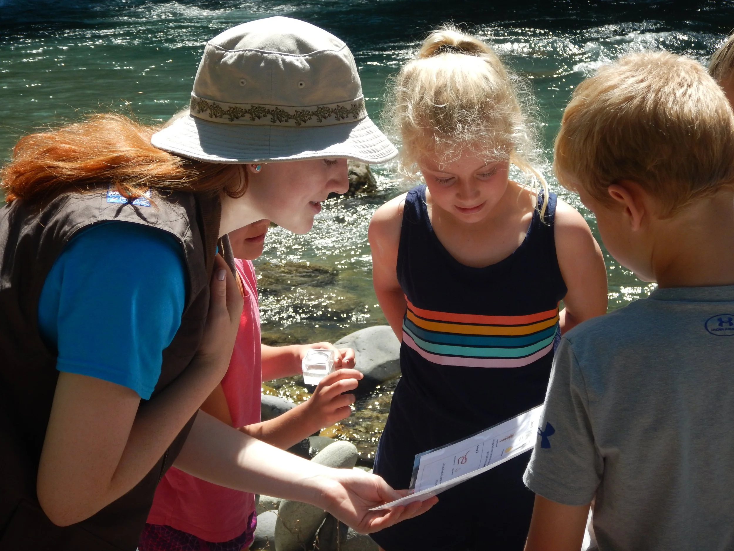 The Nooksack River Stewards: A Stewardship Success Story — Nooksack Salmon Enhancement Association