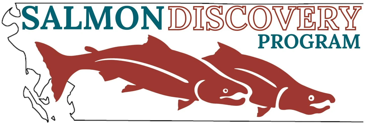 Salmon Discovery Program — Nooksack Salmon Enhancement Association