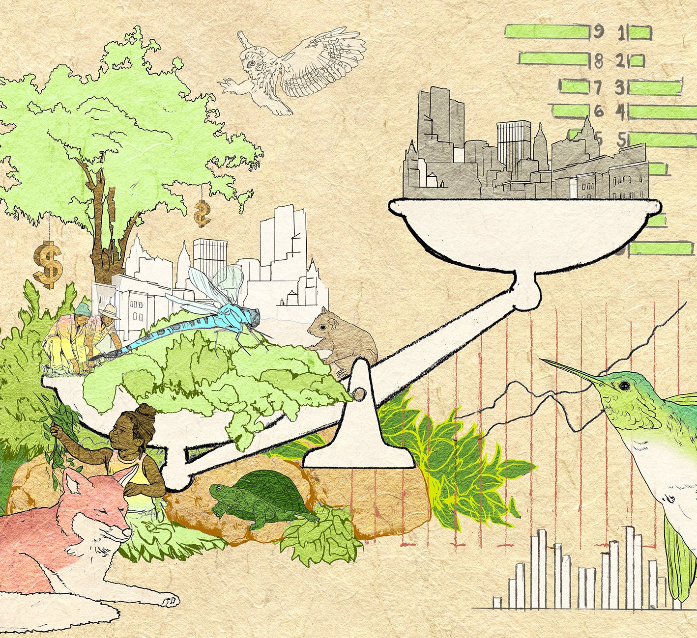 Nature-Based Solutions for Cities — Urban Systems Lab