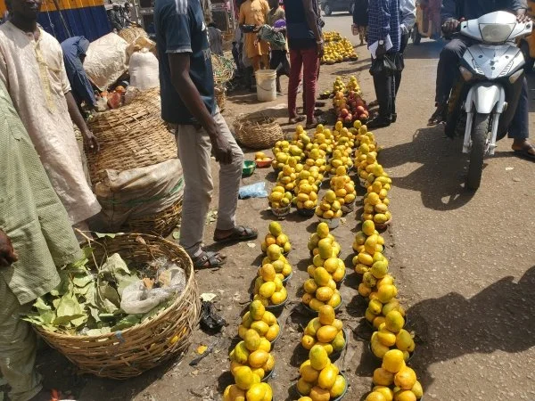 Technology Key Solution To Mango Losses In Nigeria – ColdHubs