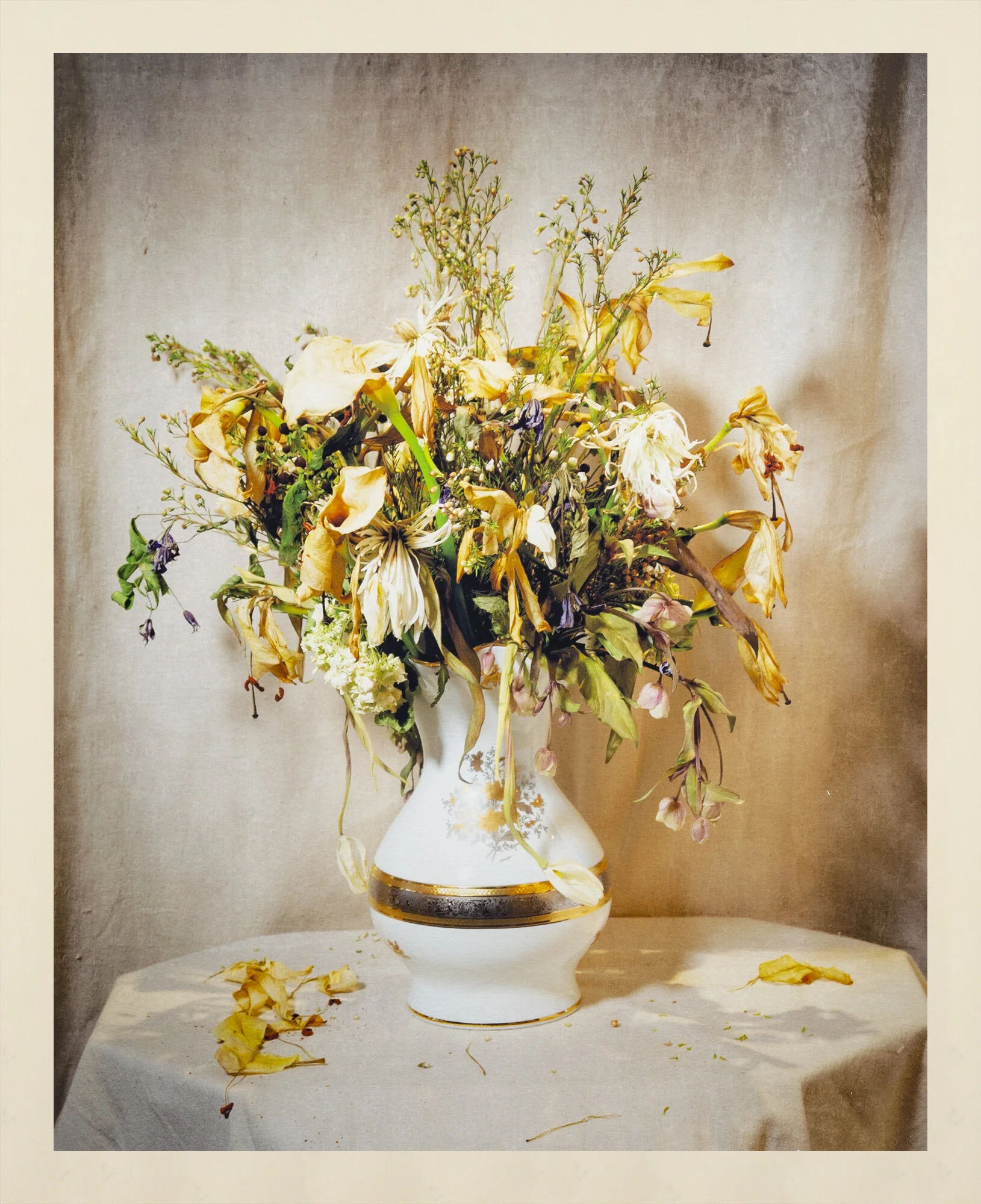 Project New Page — Jason Langer
