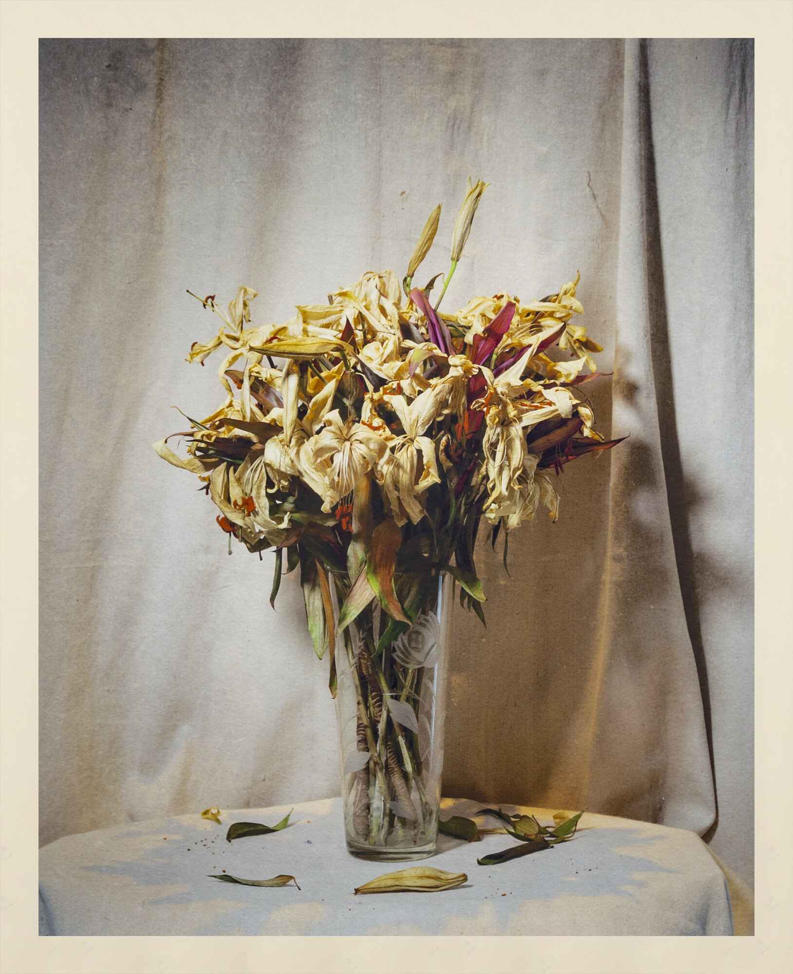 Project New Page — Jason Langer